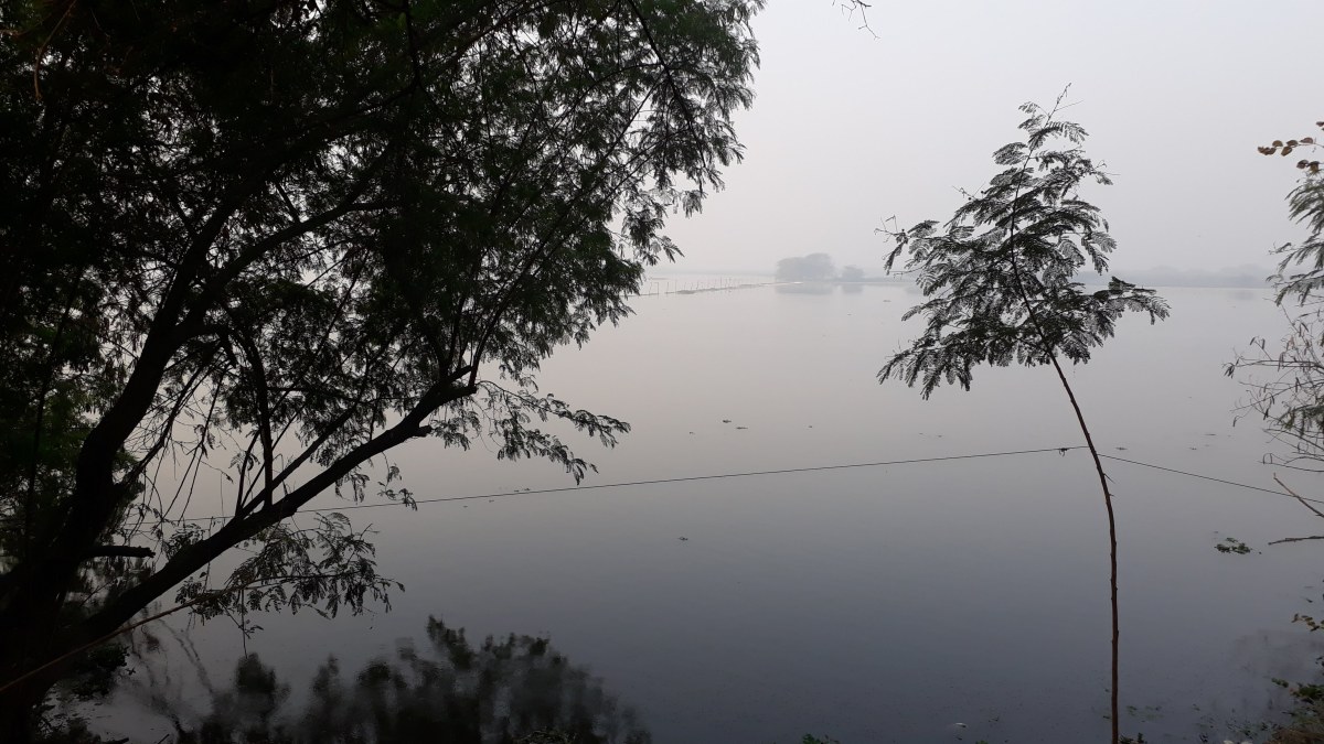 A view from across the river – Chiragh Dilli